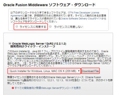 【Linux】WebLogic Server 12c のインストール手順 – AWSに特化したインフラ技術活用ガイド